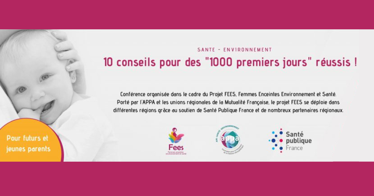 Webinaire – 26 Juin – Projet FEES