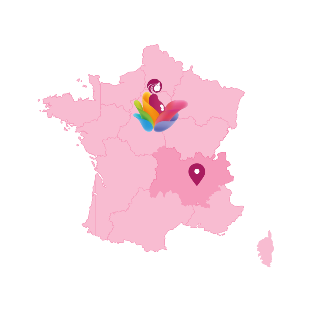 Le projet en région Auvergne-Rhônes-Alpes – Projet FEES